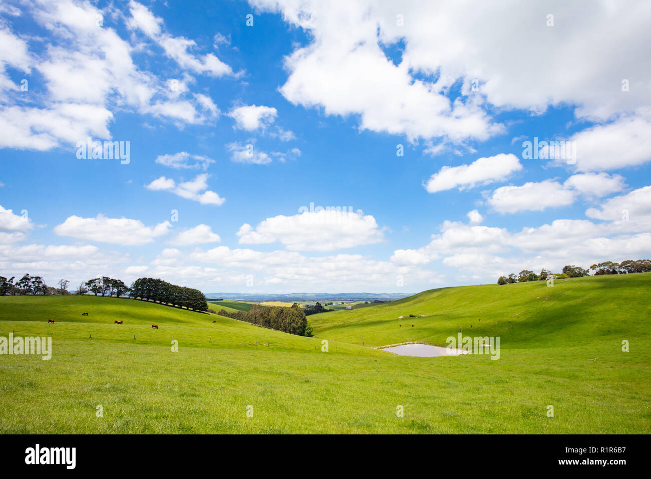 Strzelecki Ranges Landscape Stock Photo - Alamy