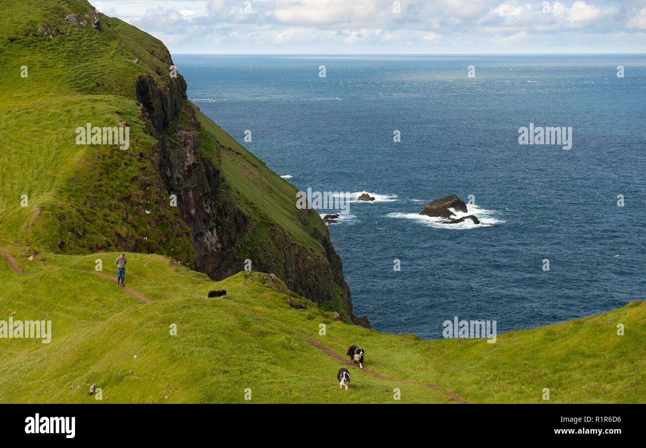 Faroe islands dog hi-res stock photography and images - Alamy
