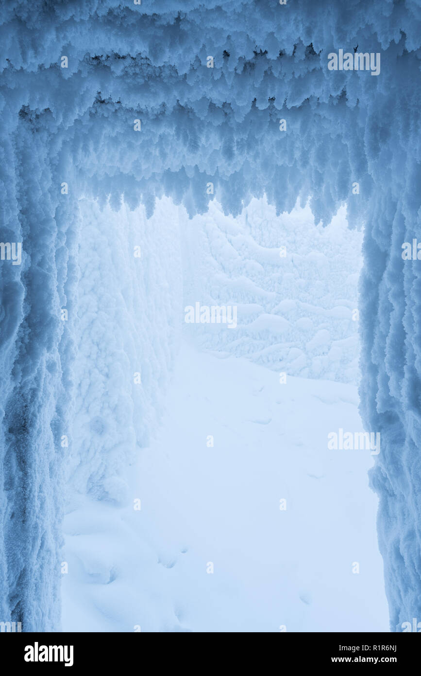 Christmas background for design. Frost on the walls of the room and ...