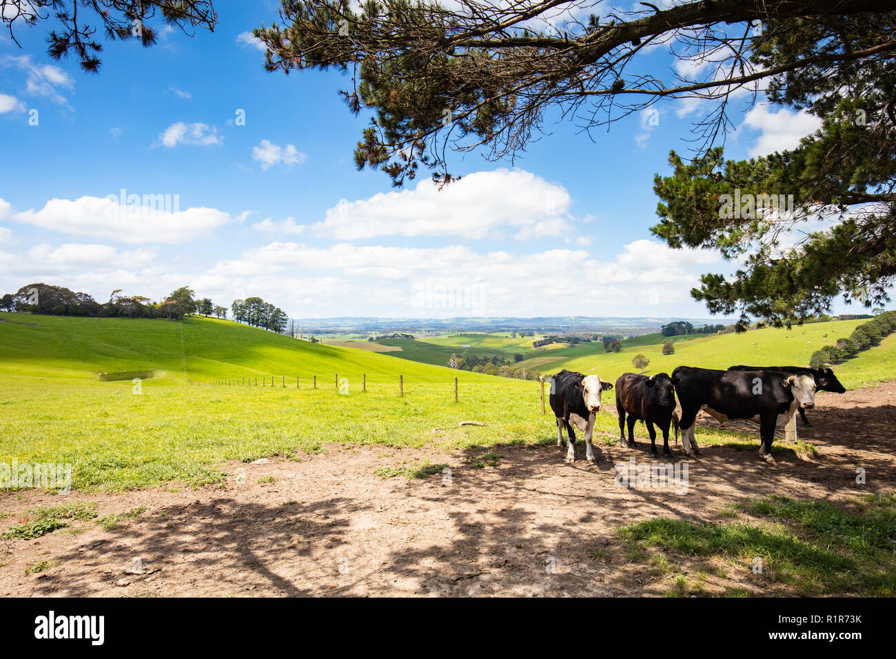 Strzelecki ranges hi-res stock photography and images - Alamy