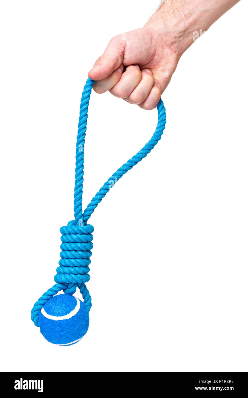 Hand with dog toy Stock Photo - Alamy