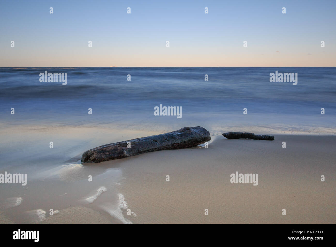 ocean beach with a stranded tree trunk Stock Photo - Alamy