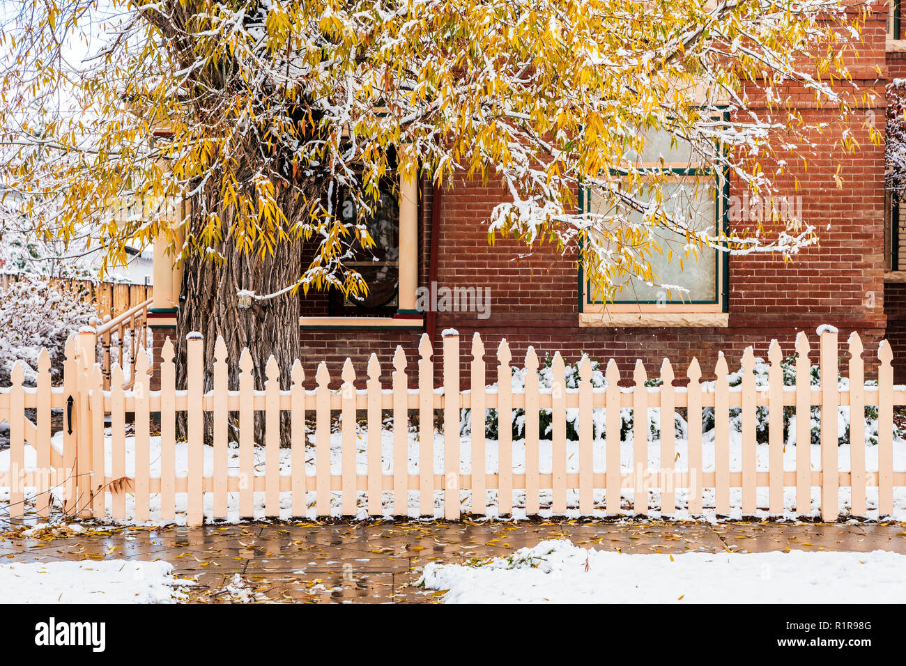 Snow covered tree with wooden fence hi-res stock photography and images ...