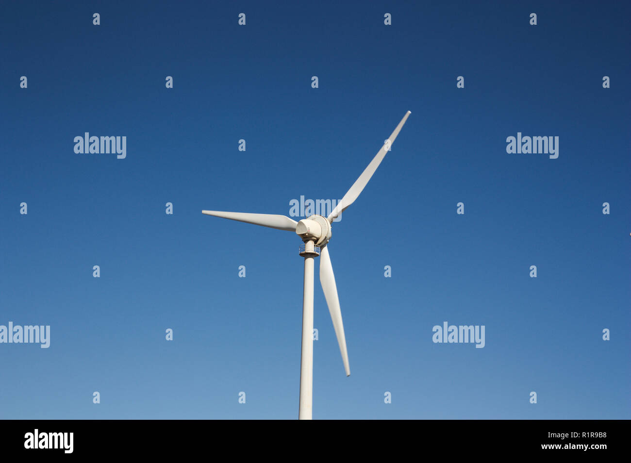 A wind turbine that rotates with the force of the wind isolated with ...