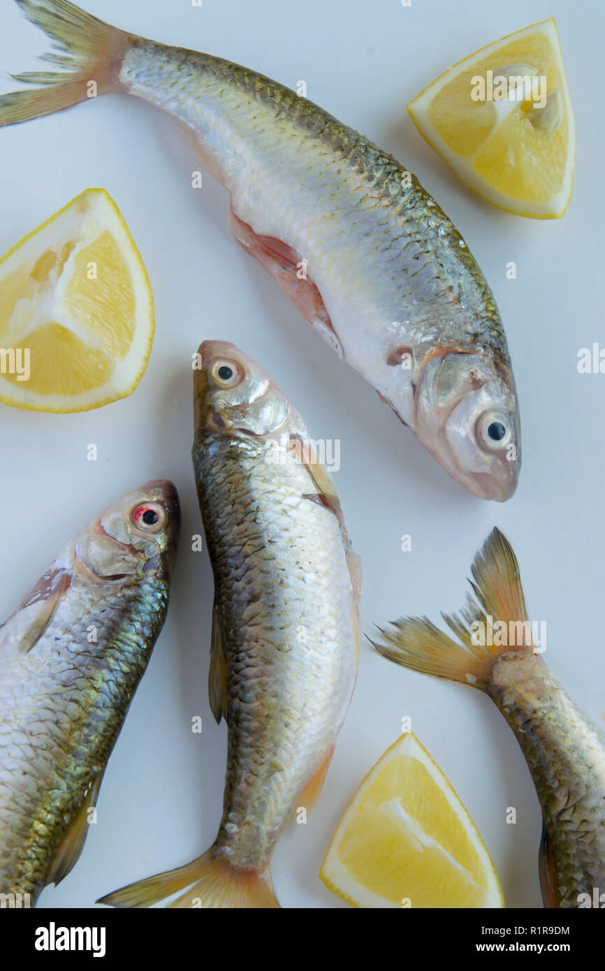 Top view of fresh catch uncooked fish and raw lemons on white ...