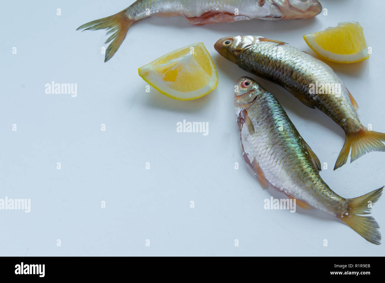 Top view of fresh catch uncooked fish and raw lemons on white ...