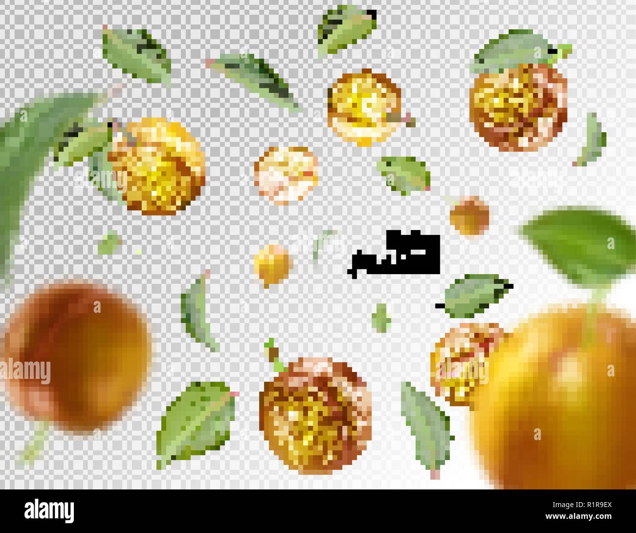 Flying orange plums on transparent background. Realistic quality vector ...