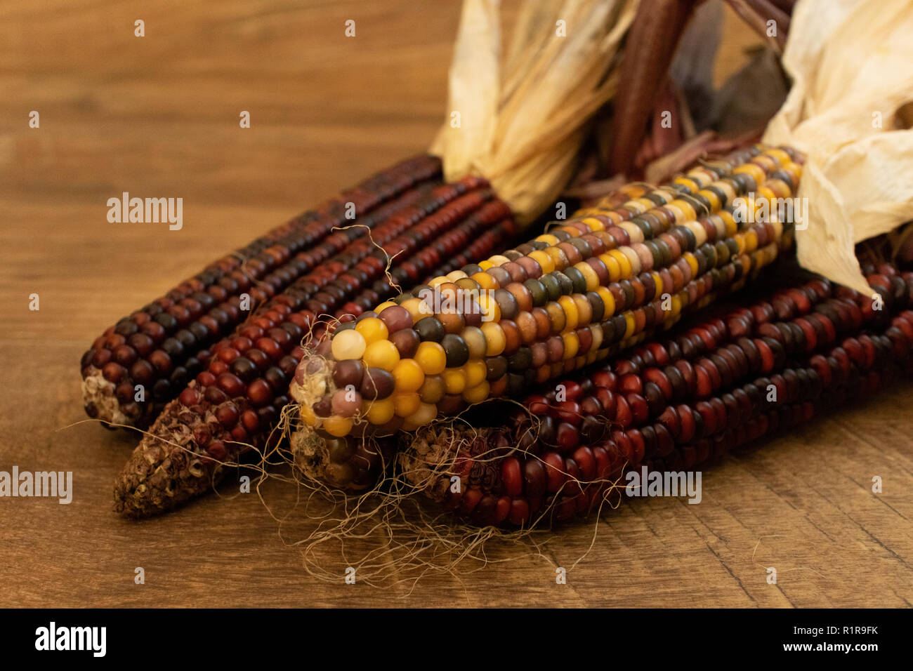 Dried Corn on wood floor Stock Photo - Alamy