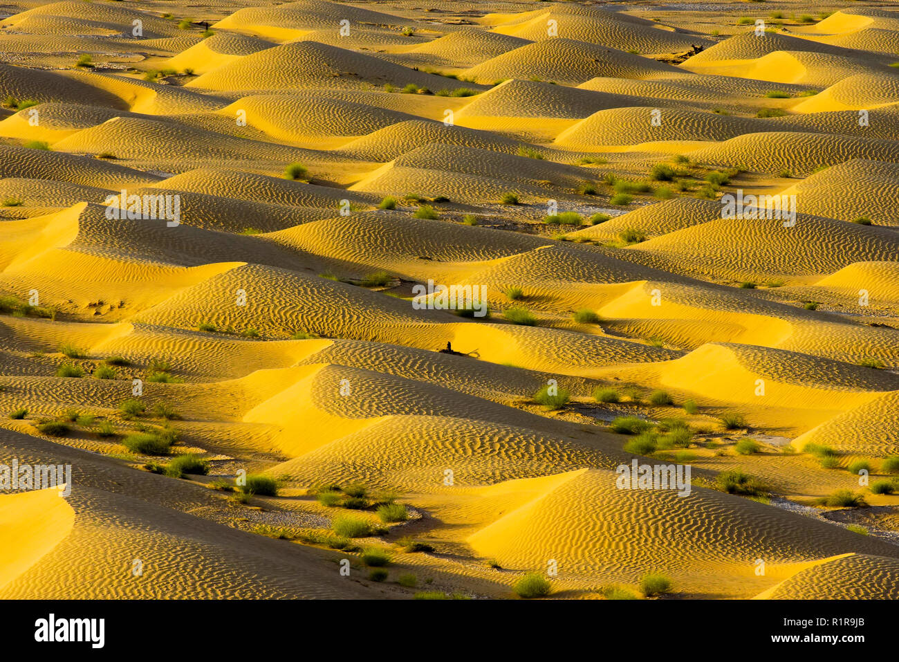 Panoramic view of Empty Quarter Desert in Oman Stock Photo - Alamy