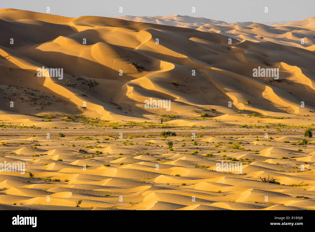 The empty quarter hi-res stock photography and images - Alamy