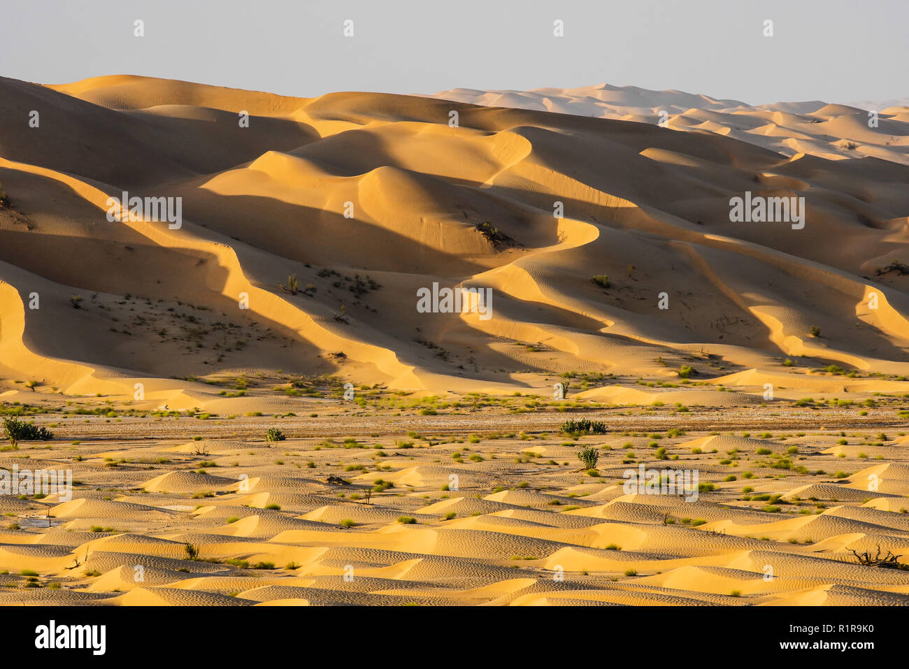 Panoramic view of Empty Quarter Desert in Oman Stock Photo - Alamy