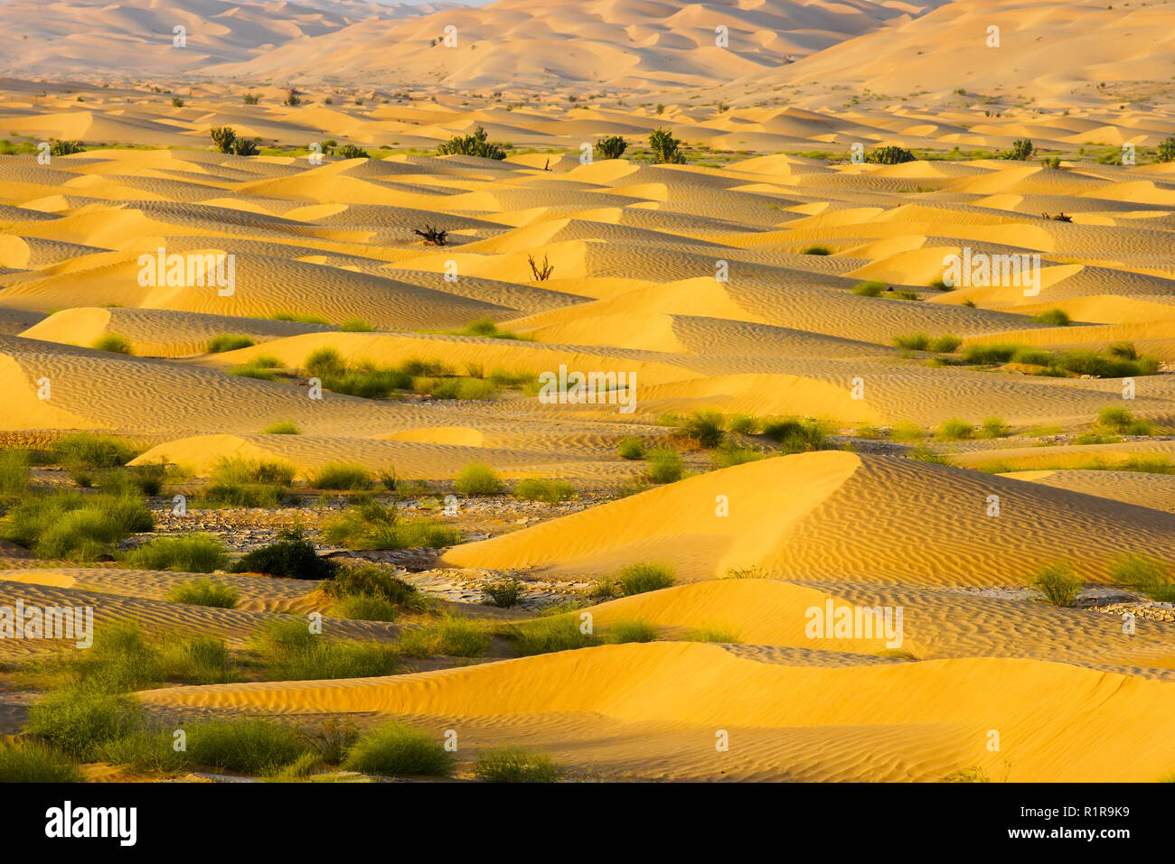 The empty quarter sand dune panoramic hi-res stock photography and ...