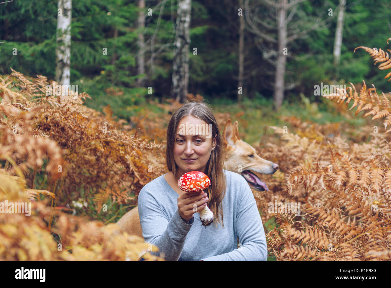 Pale red fungi hi-res stock photography and images - Alamy