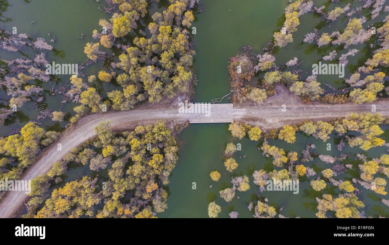 November 14, 2018 - Kuqa, Kuqa, China - Kuqa, CHINA-Populus ...