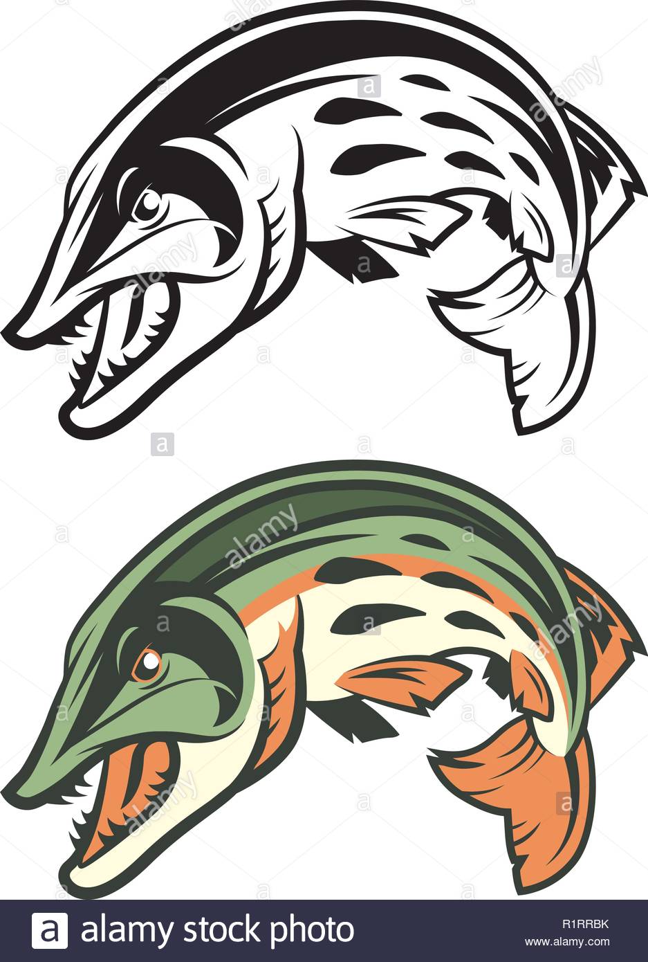 Muskie Fish Stock Photos & Muskie Fish Stock Images - Alamy