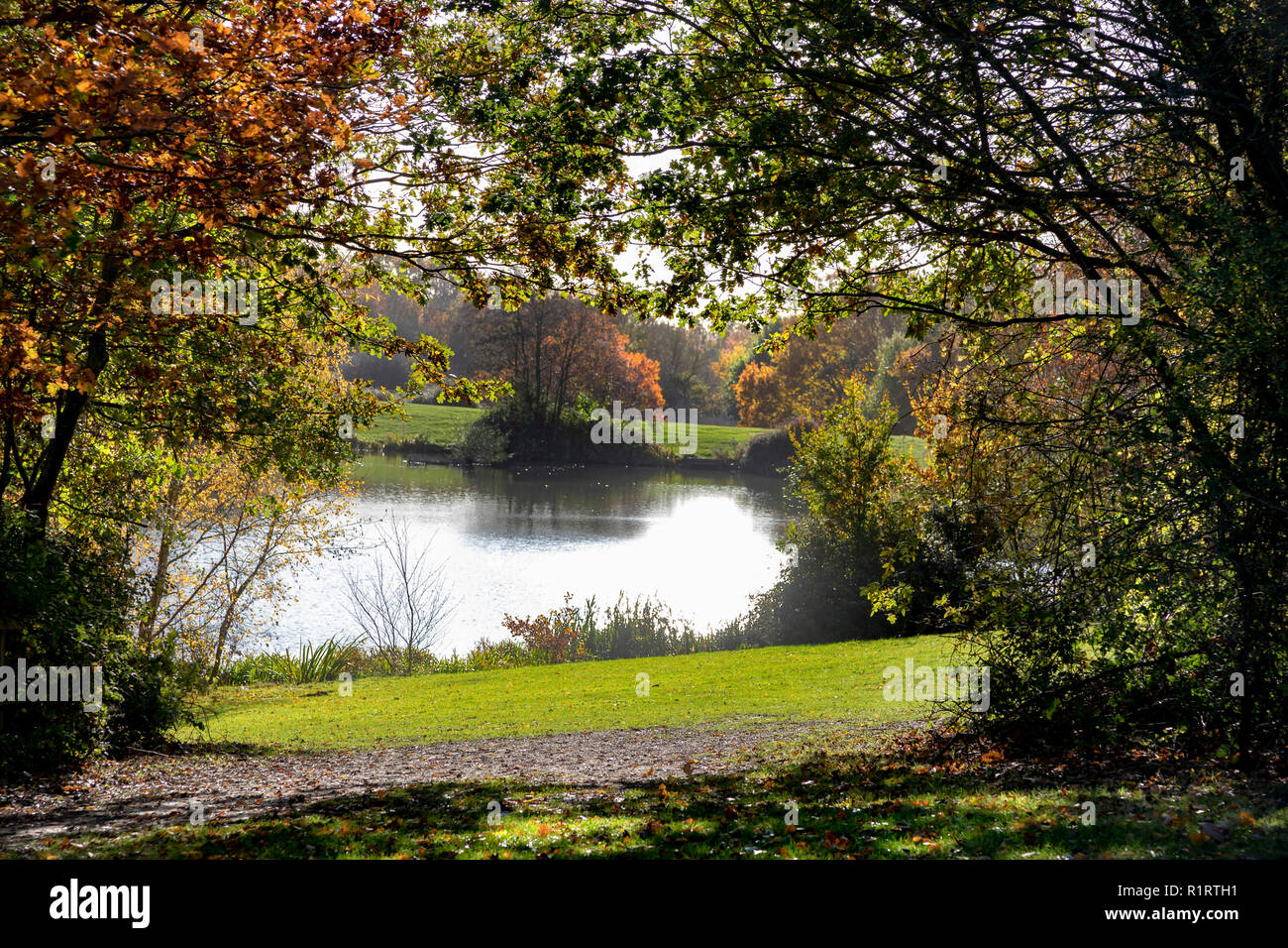 AUTUMN IN HIGHWOODS COUNTRY PARK, COLCHESTER, ESSEX ENGLAND Stock Photo ...