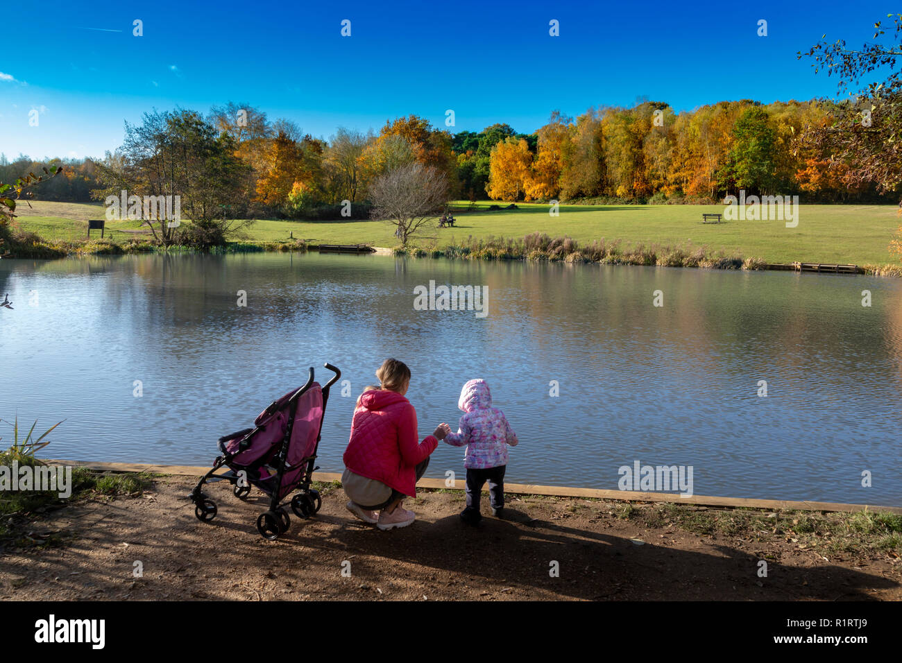AUTUMN IN HIGHWOODS COUNTRY PARK, COLCHESTER, ESSEX ENGLAND Stock Photo ...
