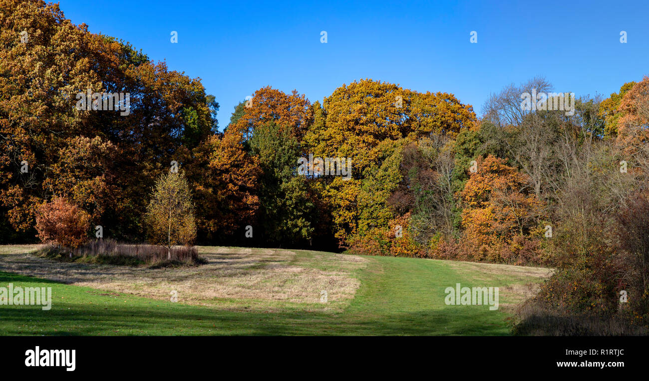 AUTUMN IN HIGHWOODS COUNTRY PARK, COLCHESTER, ESSEX ENGLAND Stock Photo ...