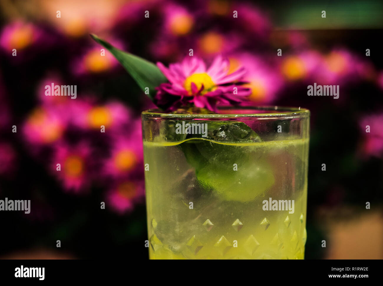 autumn cocktail on the background of a bouquet of asters Stock Photo ...