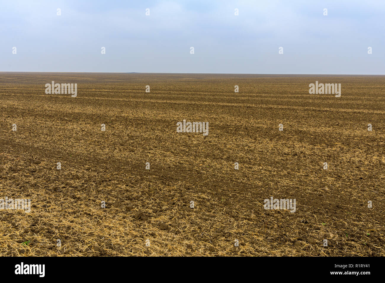 Agriculture field ready for sowing seed Stock Photo - Alamy