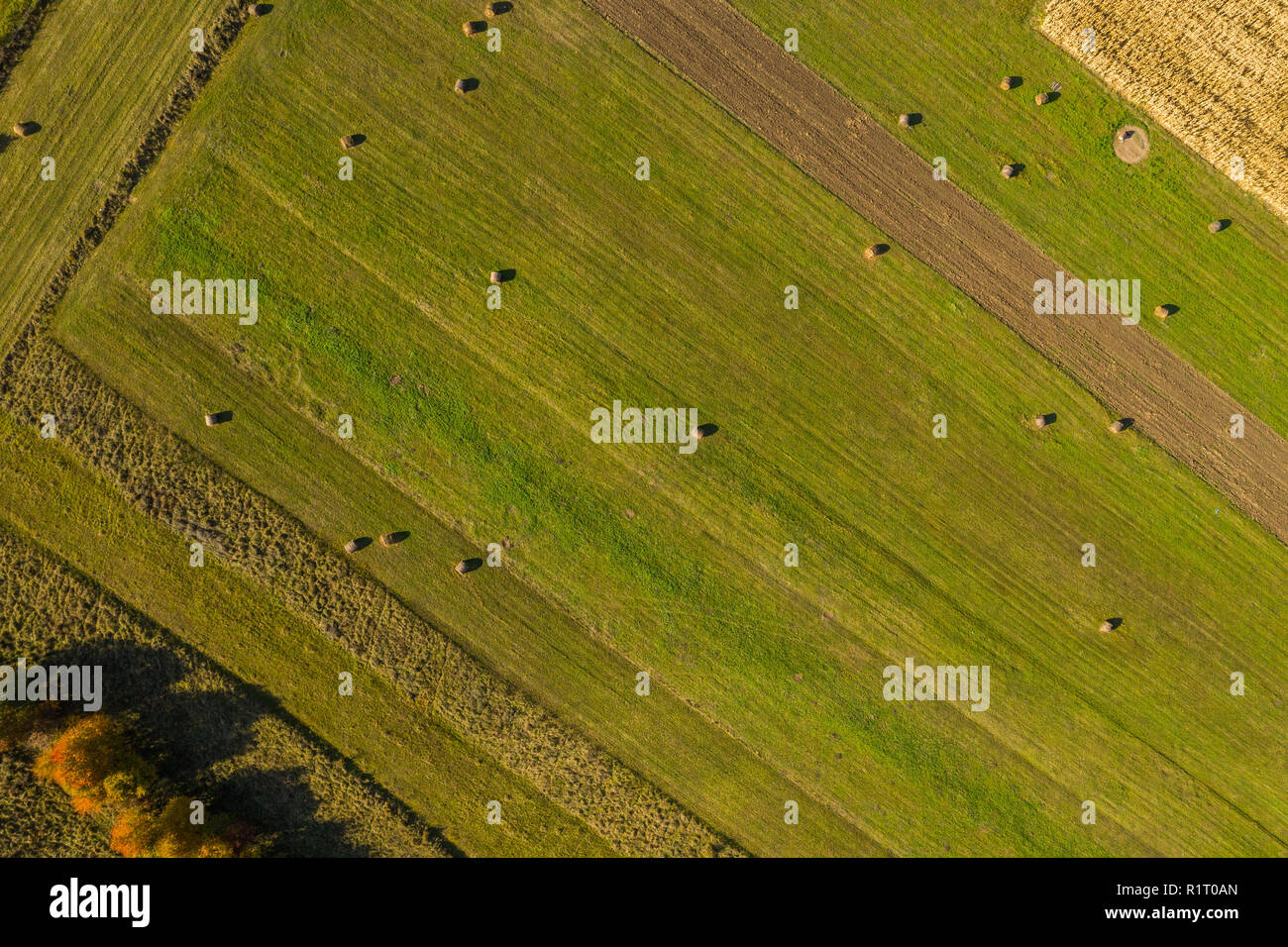 Aerial agricultural pattern view from a drone. Green meadow and hay bales Stock Photo - Alamy