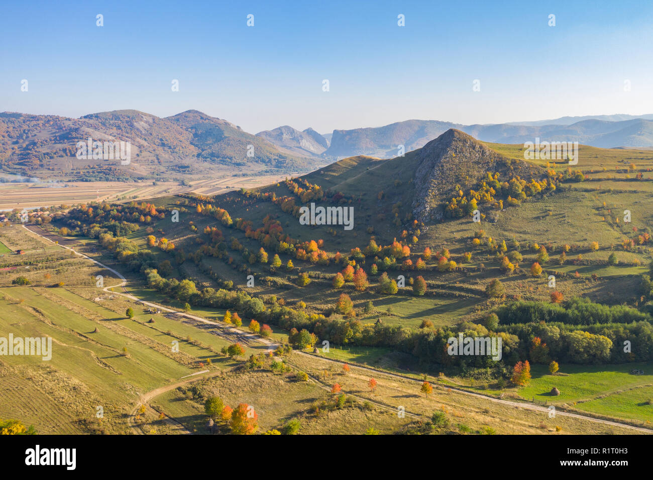 Aerial oak woodland europe hi-res stock photography and images - Alamy
