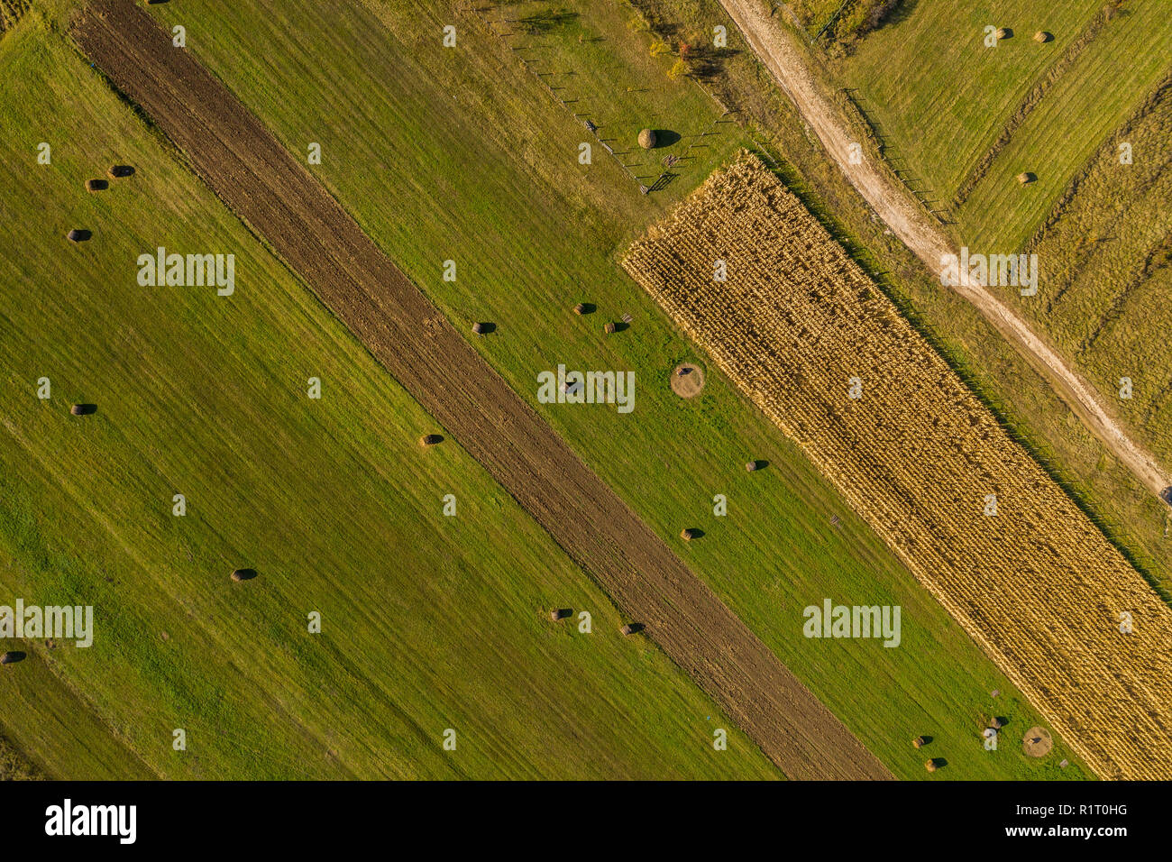Aerial agricultural pattern view from a drone. Green meadow, cereal ...