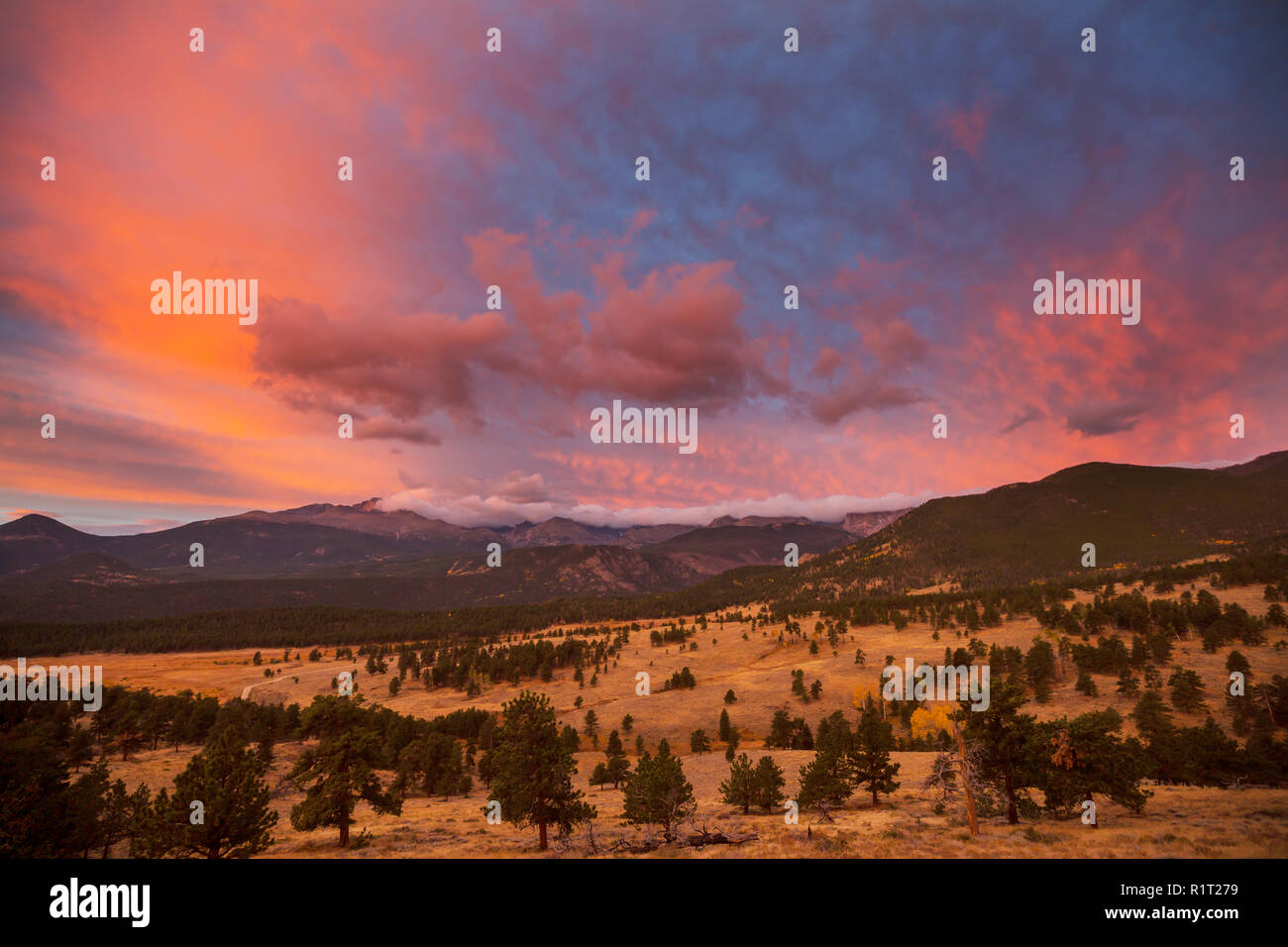 Forested hillside colorado hi-res stock photography and images - Alamy