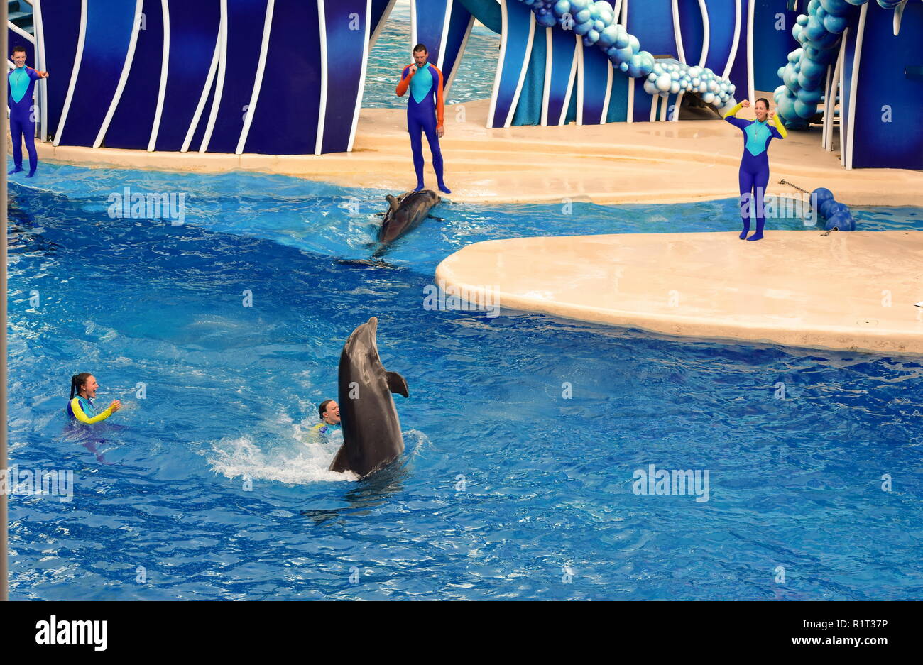 Animal show universal studios hi-res stock photography and images - Alamy