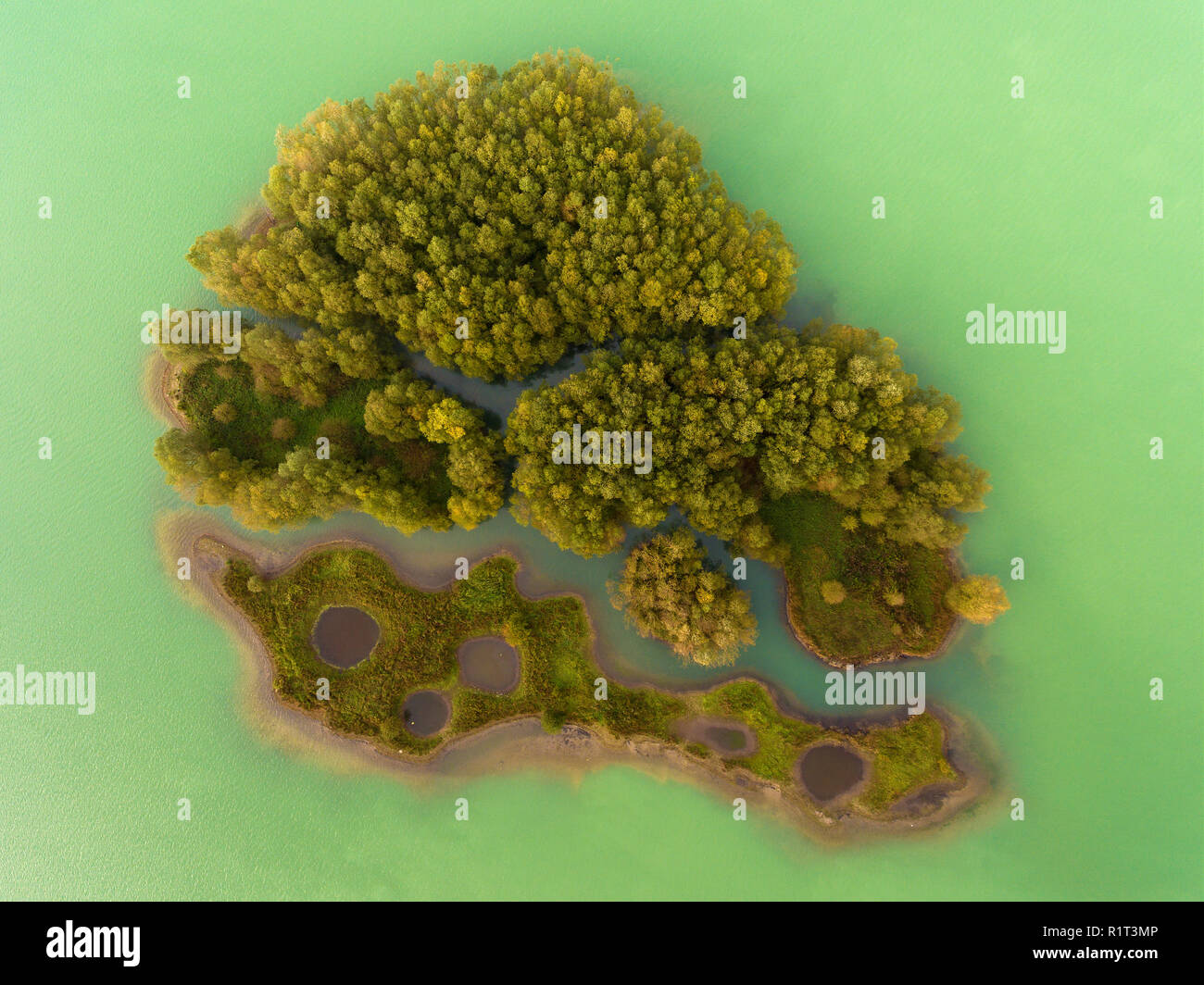 Island in swamp, Jumieges, Seine-Maritime, Normandy, France Stock Photo ...