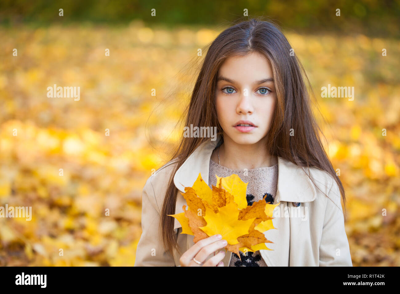 Autumn little girl Stock Photo - Alamy