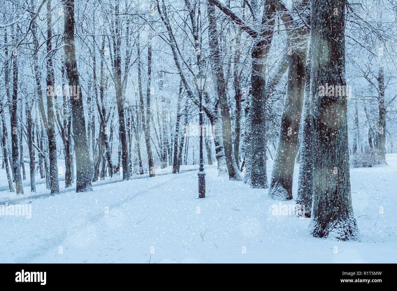 Winter landscape with falling snowflakes - wonderland park with ...