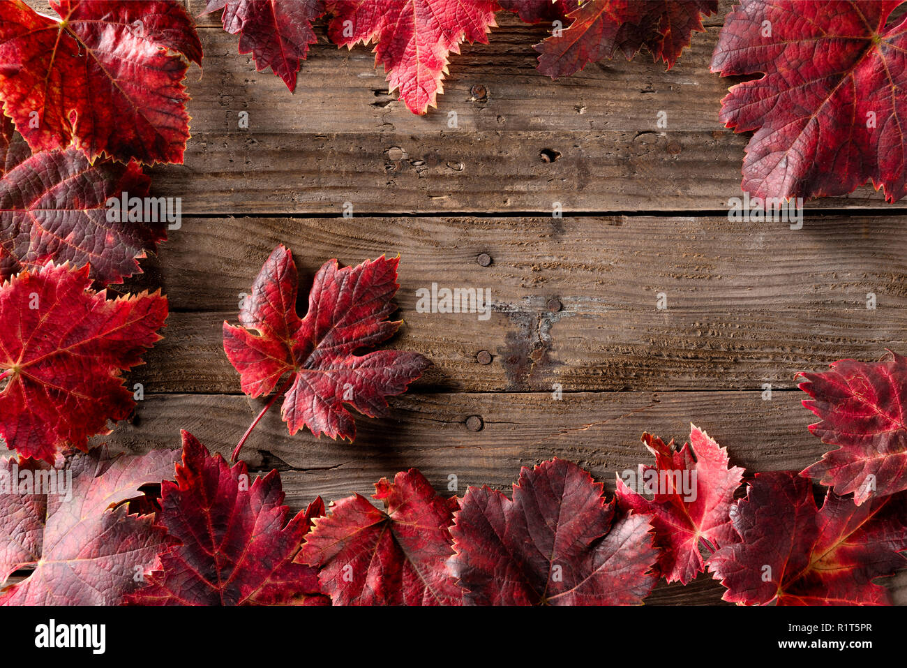 Seasonal background hi-res stock photography and images - Alamy
