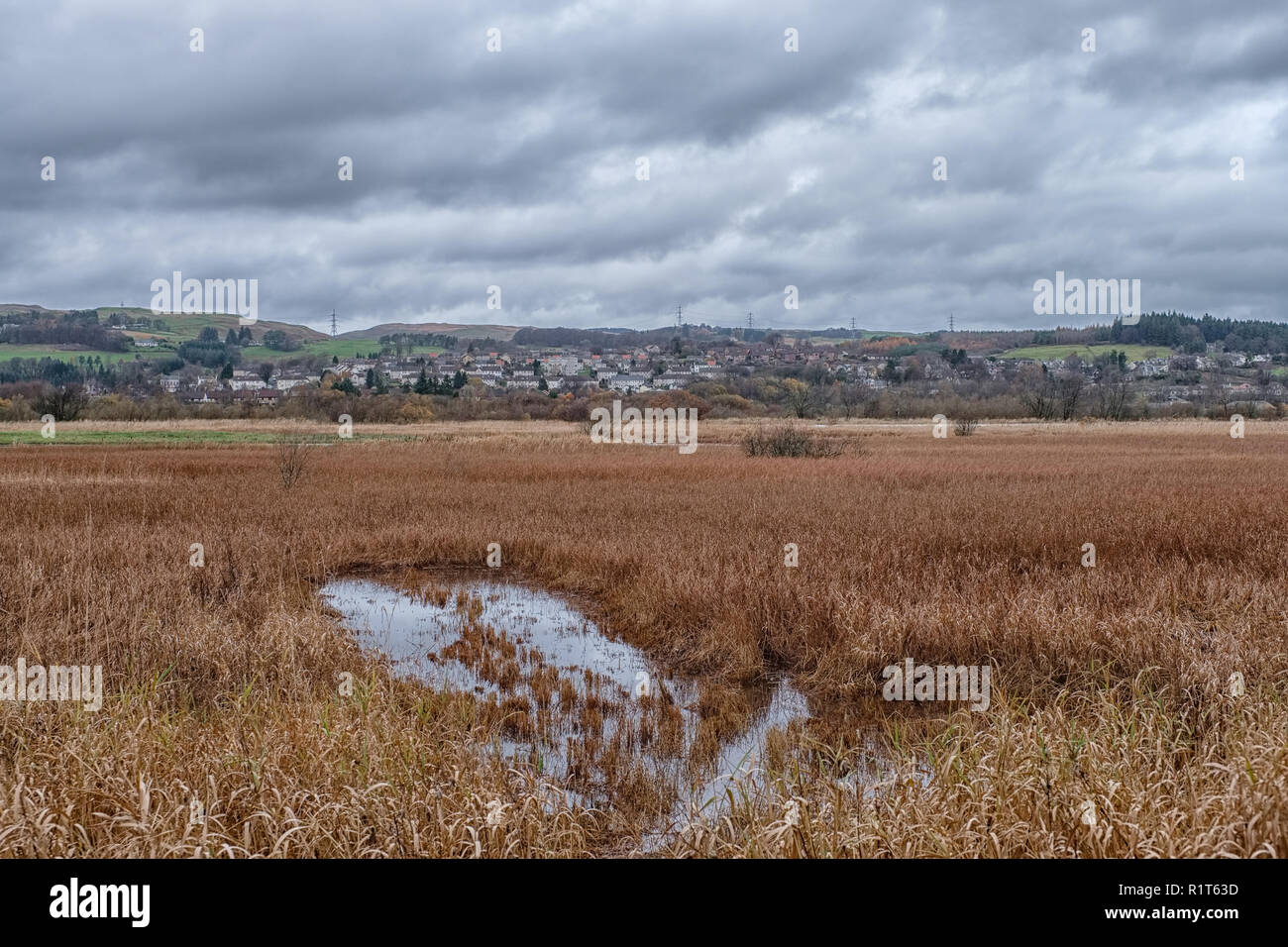 Looking like a giant footprint on castle Semple Marshes on the Loch at ...
