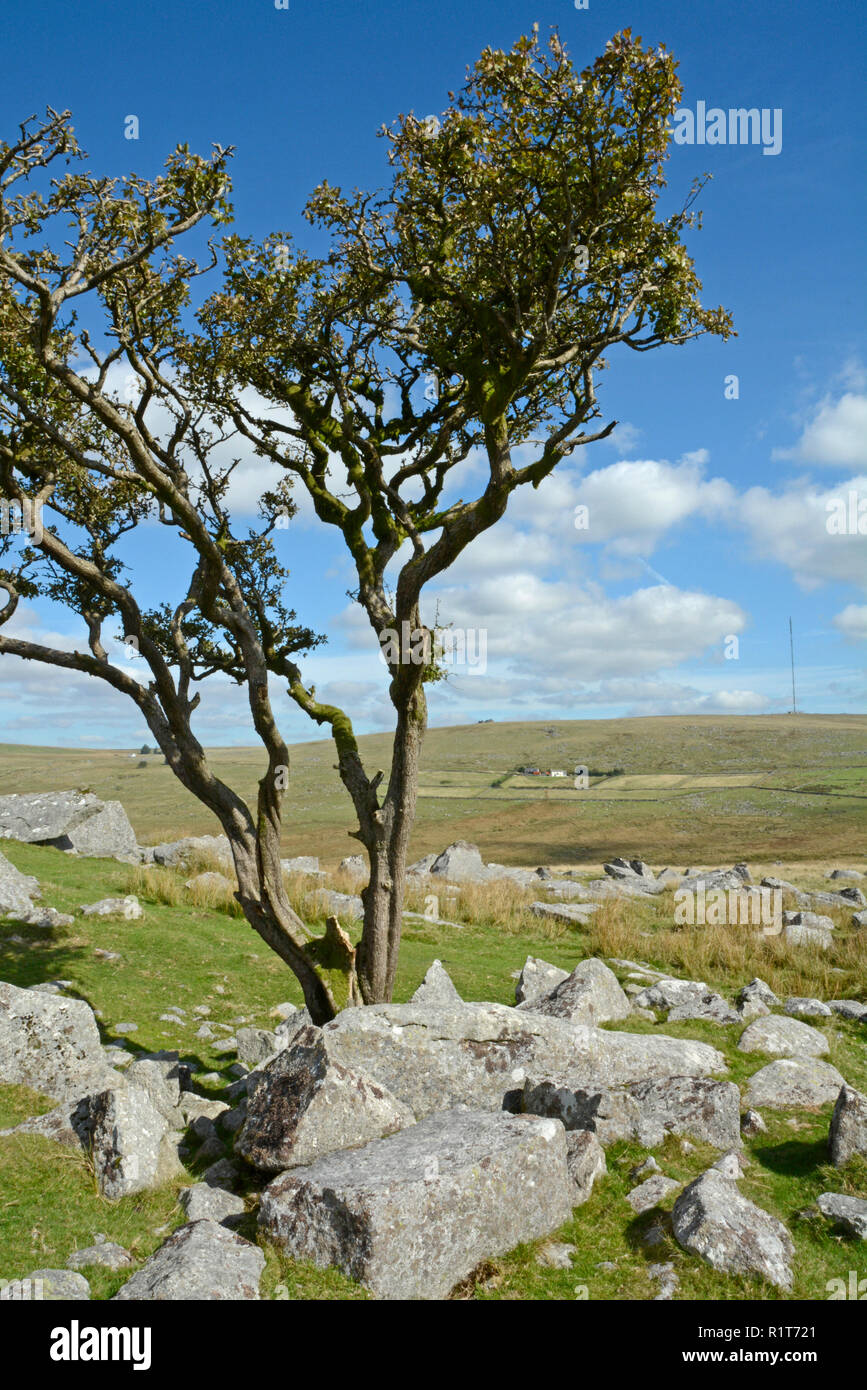 High moorland moors hi-res stock photography and images - Alamy