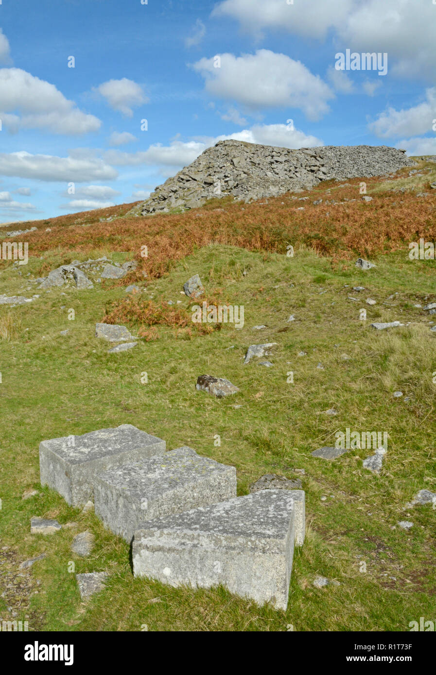 Dartmoor swelltor quarry hi-res stock photography and images - Alamy