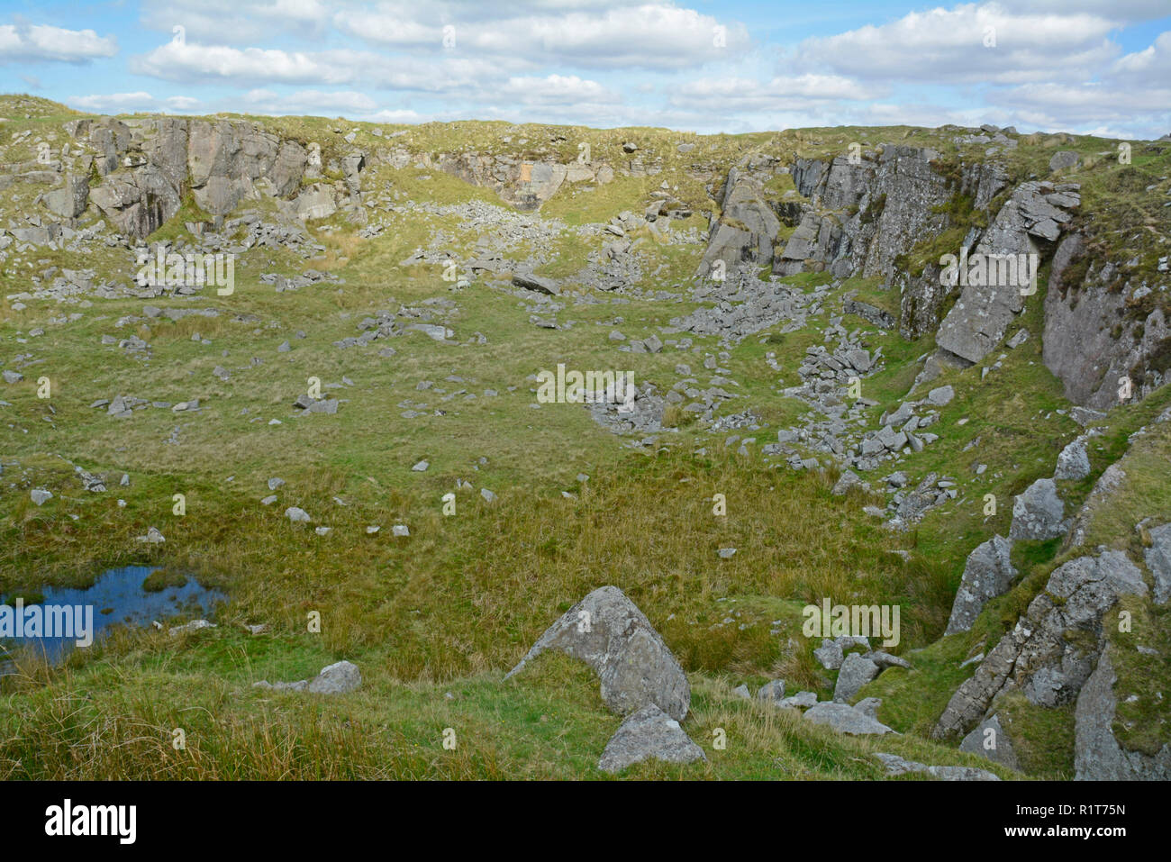 Swelltor quarry (disused) near Princetown on Dartmoor Stock Photo - Alamy