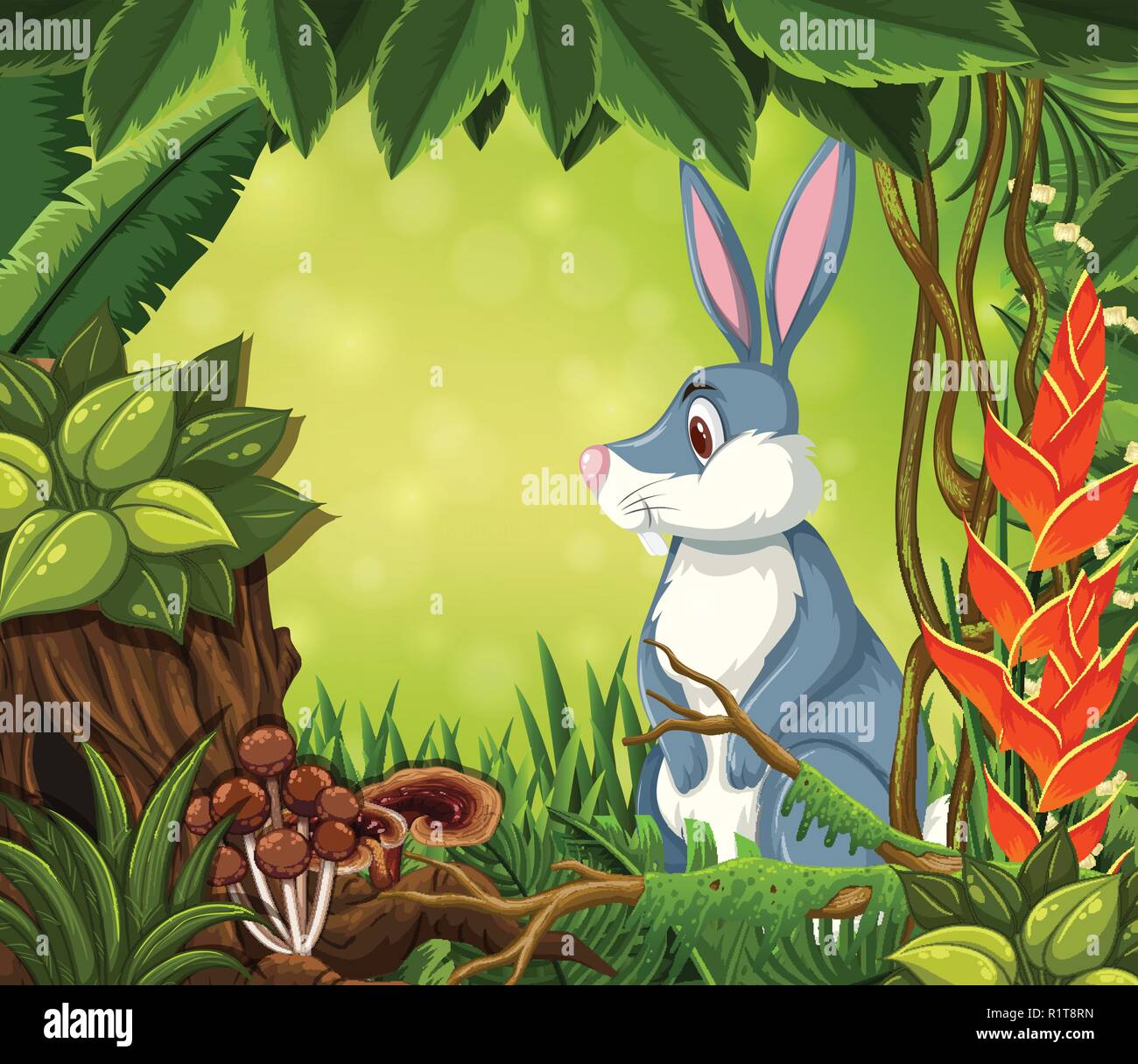 Jungle Drawing Background