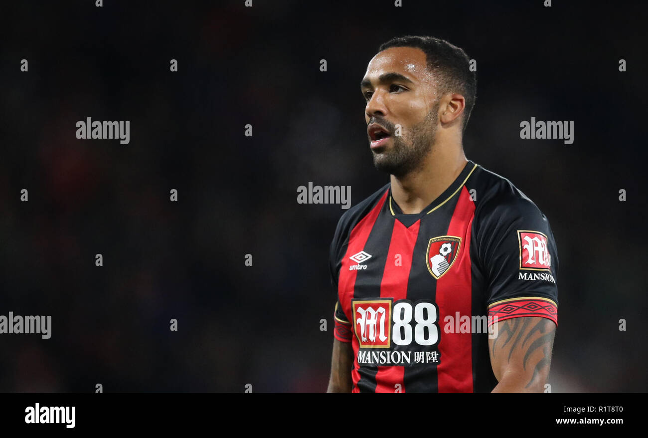 Callum wilson portrait hi-res stock photography and images - Alamy