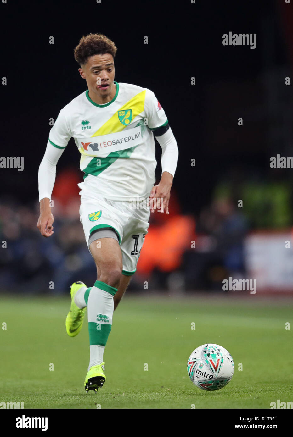 Norwich City's Jamal Lewis Stock Photo - Alamy