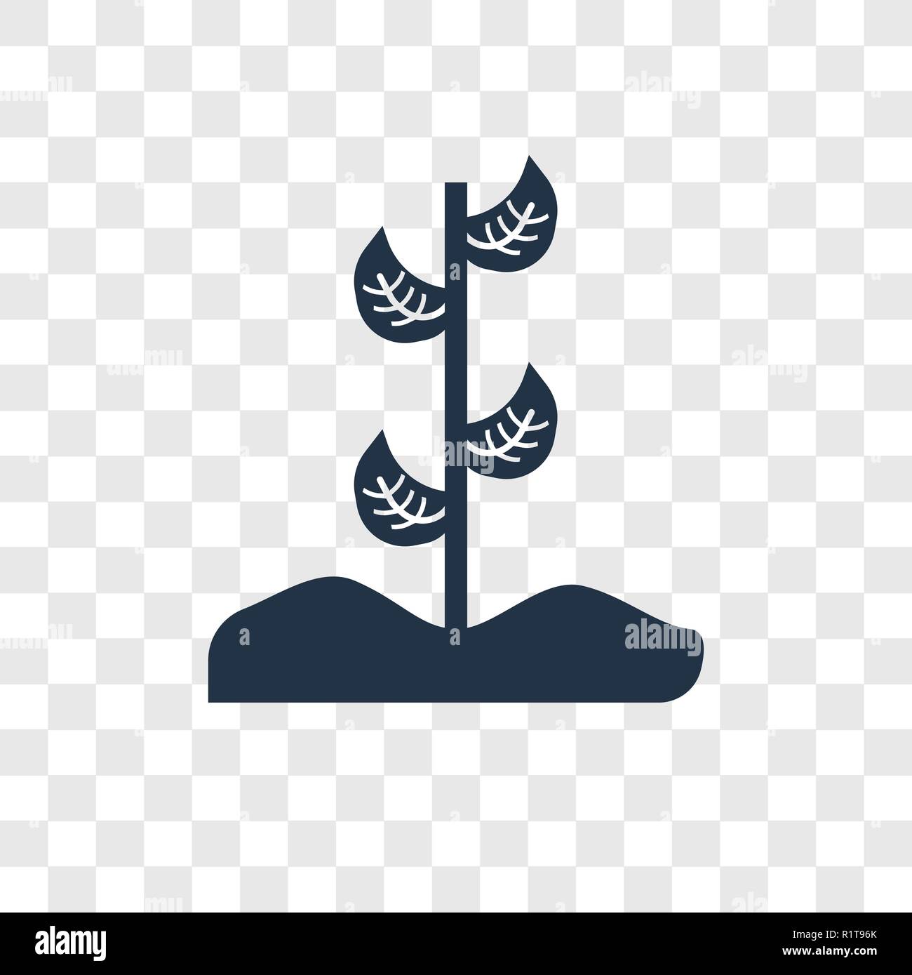 Plant vector icon isolated on transparent background, Plant ...