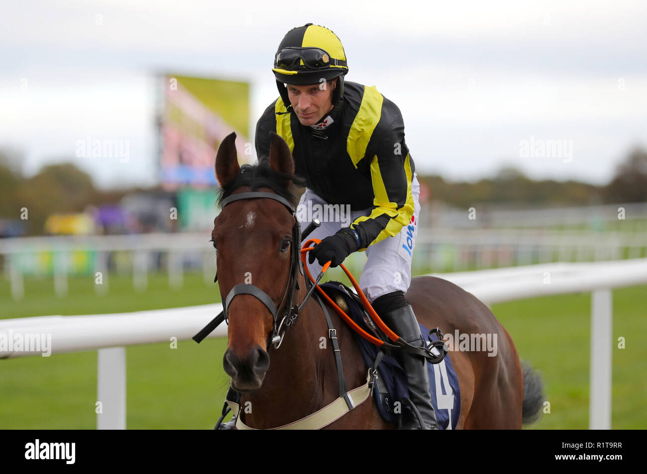 Jockey danny cook competes hi-res stock photography and images - Alamy