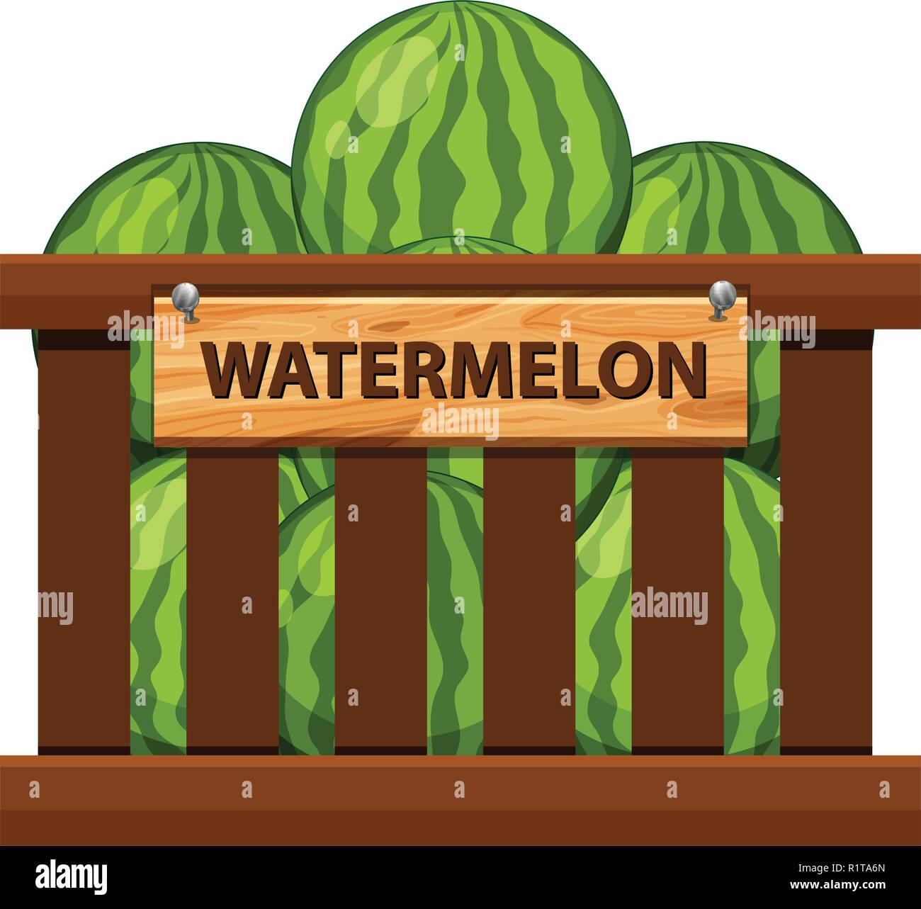Watermelon container Stock Vector Images - Alamy