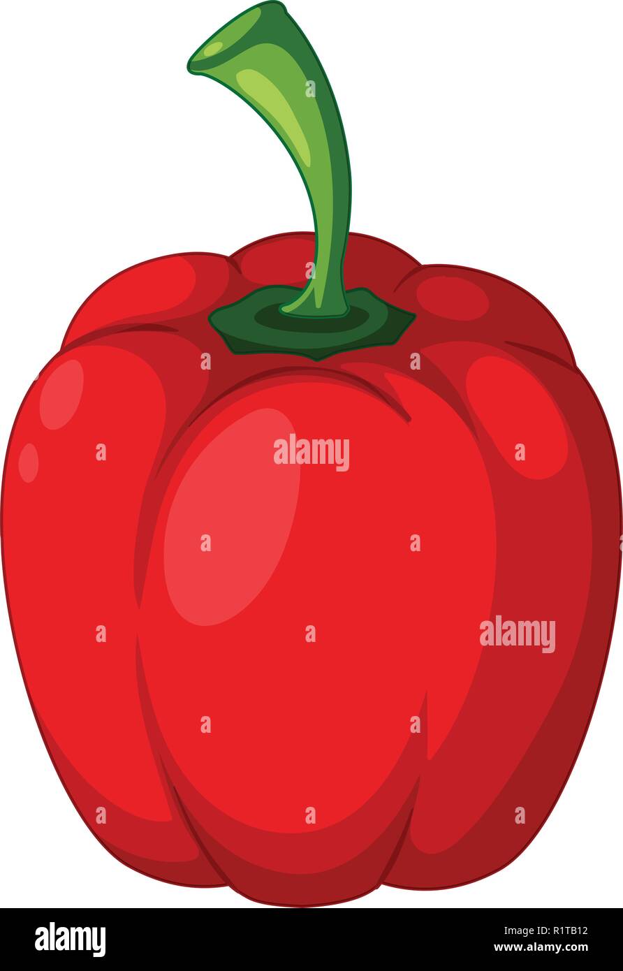 A red capsicum on white background illustration Stock Vector Image ...