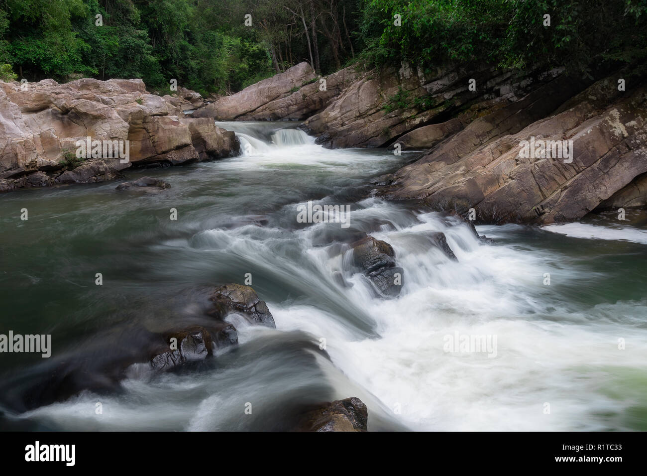 Fall color jungle hi-res stock photography and images - Alamy