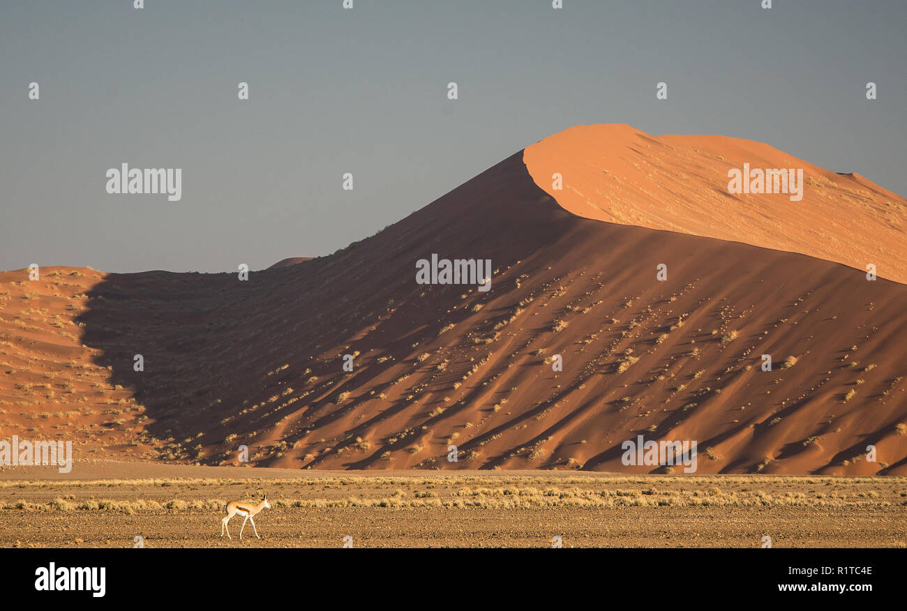 Sossusvlei in Namibia Stock Photo - Alamy