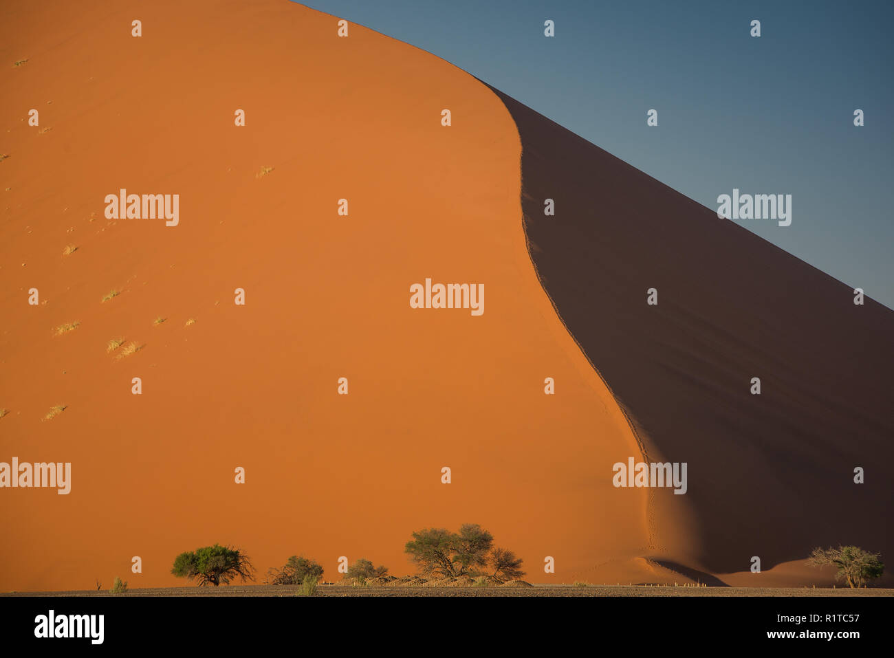 The red dunes of sossusvlei hi-res stock photography and images - Alamy