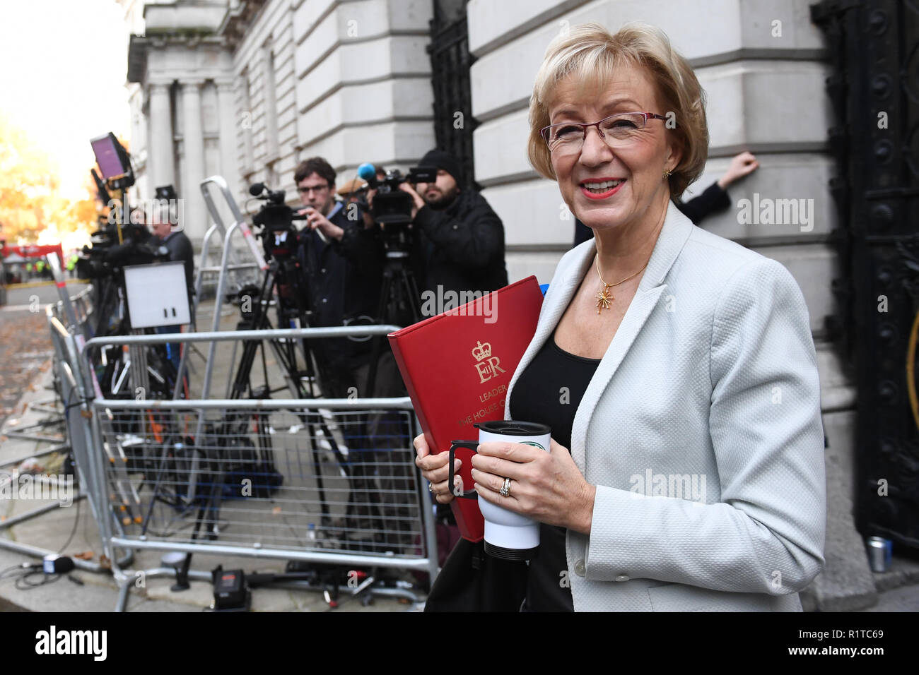 Leader of the House of Commons Andrea Leadsom arrives in Downing Street ...