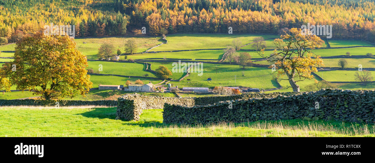 Farm buildings, dry stone walls and woodland at Howgill below Simons ...