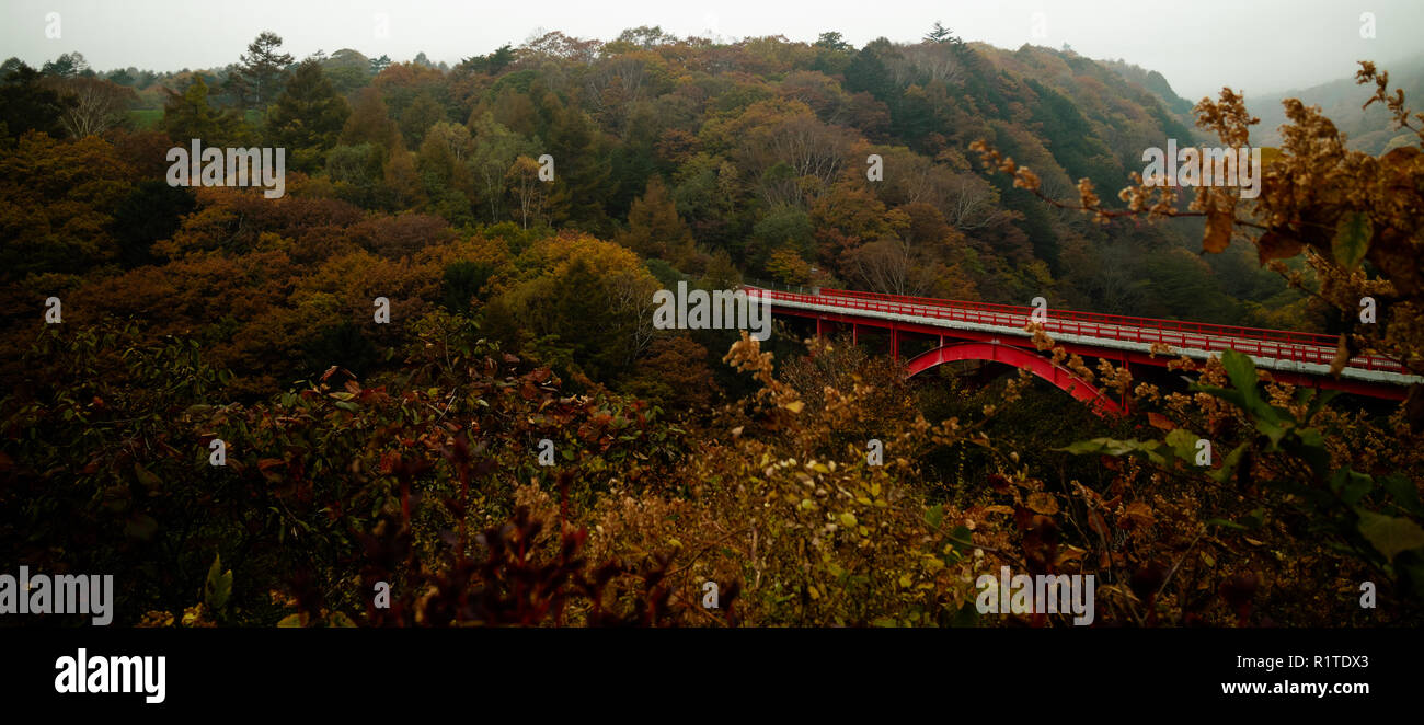 A red bridge stretching across a Japanese valley covered in Autumnal ...